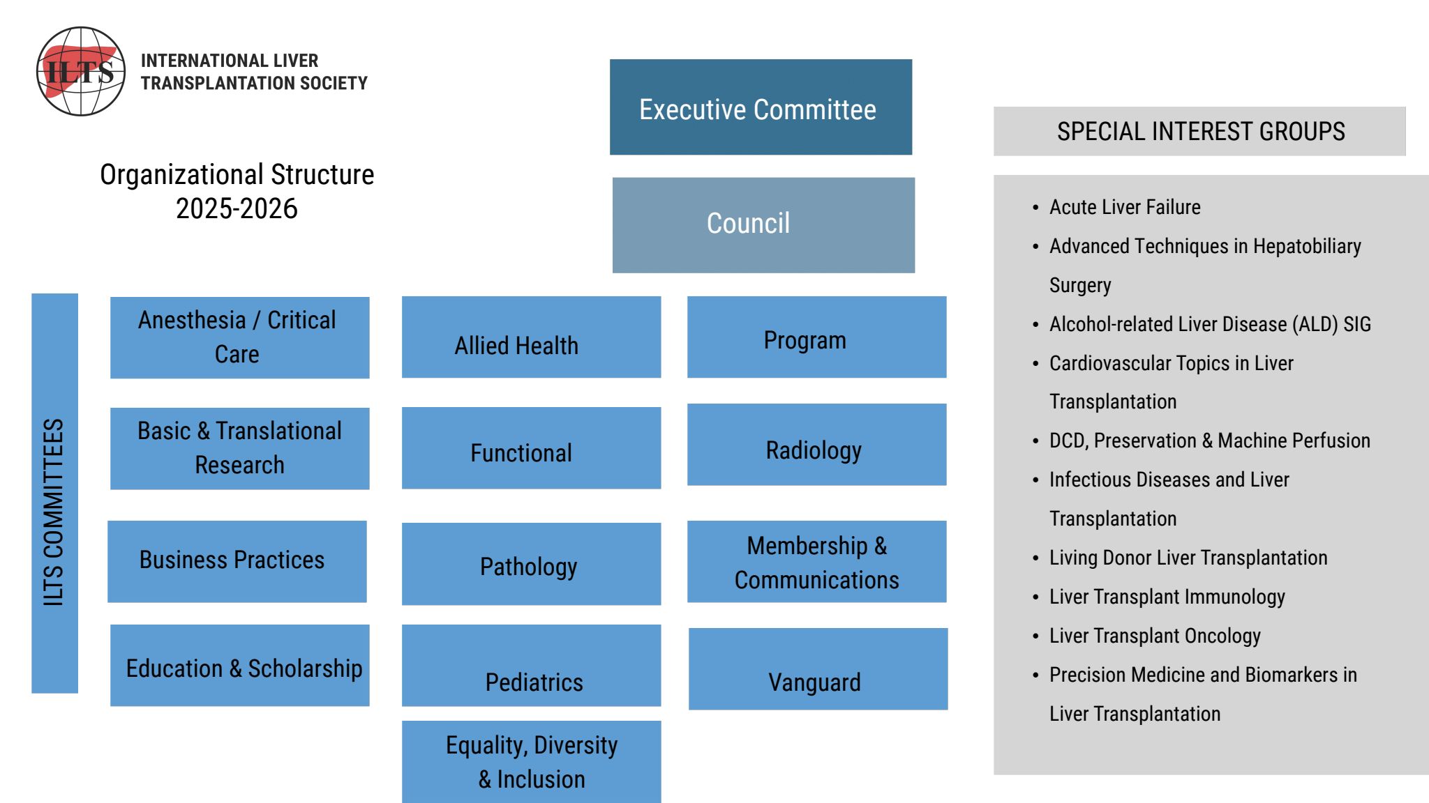 Organizational Structure